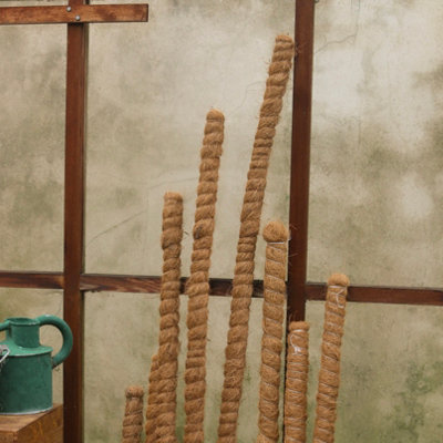 Salike 100cm Coir GrowPole for Plant Support