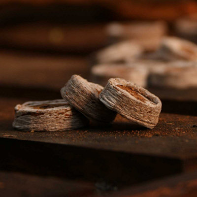 Salike Easy Sowing 32mm CoirCoins 50 Pack | DIY at B&Q