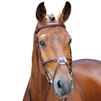 Salisbury Brackley Leather Stitch Horse Bridle Australian Nut (Full ...
