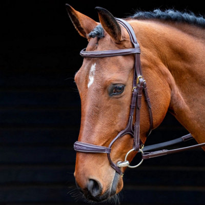 Salisbury Brampton Horse Bridle Australian Nut (X Full) | DIY at B&Q