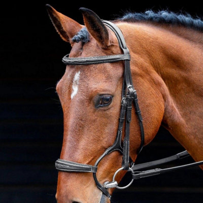 Salisbury Brampton Horse Bridle Black (Cob) | DIY at B&Q