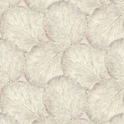 Sample of Beech Leaf wallpaper in Blush (53 x 30cm)