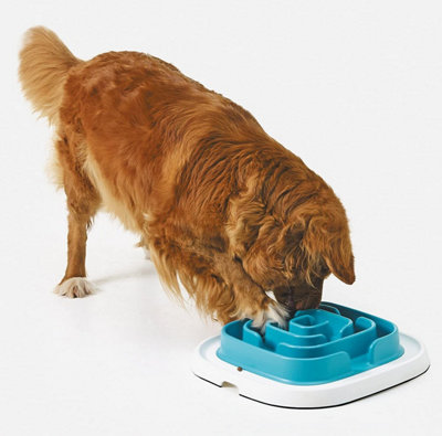 Savic Enigma Dog Cat Slow Feeder Food Bowl Interactive Maze Treat Blue