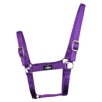 Saxon Economy Headcollar Purple (Cob) | DIY at B&Q