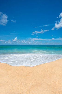 SCENIC VIEW BEACH AGAINST BLUE SKY SHOWER PANEL - LARGE, HIGH QUALITY ...