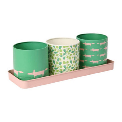 Scion by Dexam Mr Fox Set of 3 Herb Pots - Mint Leaf