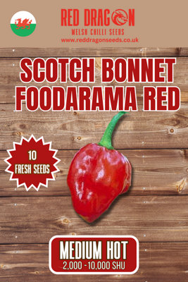 Scotch Bonnet Foodarama Red Chilli Seeds - 10 Fresh Seeds