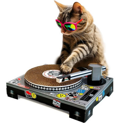 Scratcher DJ Decks Cat Toy & Kitten Toys