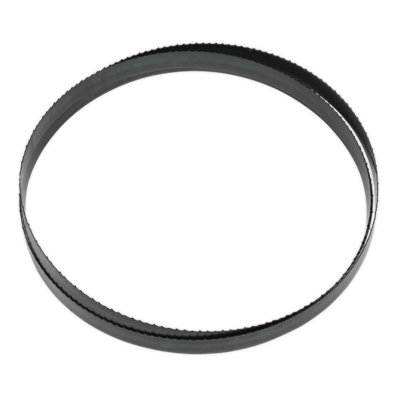 Sealey Blade With Hardened Cutting Edges 3035 x 25 x 0.89mm 4 TPI ...