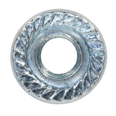 Sealey Flange Nut Serrated M6 Zinc Plated DIN 6923 Silver Pack of 100 ...
