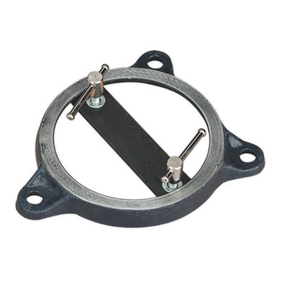 Buy Sealey Swivel Plate Adaptor Replacement For ASV200/VSB8 Bench Vice ...