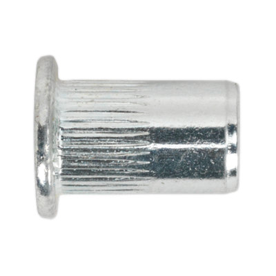 Sealey Threaded Insert Splined Zinc Plated M6Silver - Pack of 50 Pieces ...