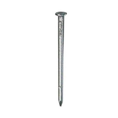 Securfix Galvanised Round Wire Nails Silver (250g)