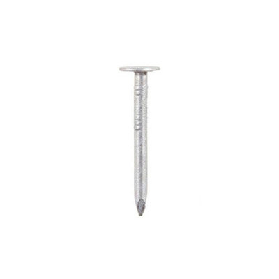 Shop Securfix Trade Pack Galvanised Clout Nails Silver (500g)