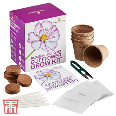 Seed Grow Kit - Cut Flower - 1 Pack - Ideal Gift