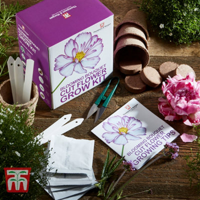 Seed Grow Kit Cut Flower 1 Pack Diy At B Q