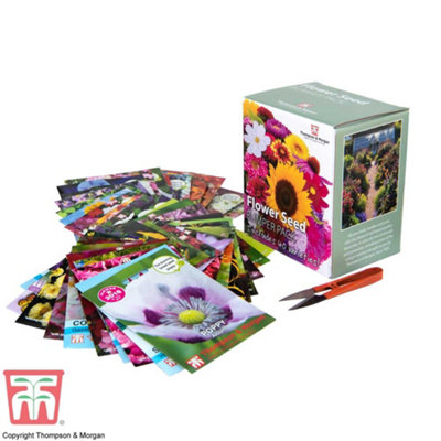 Seed Grow Kit Flower Bumper Pack 40 Varieties 1 Pack Diy At B Q