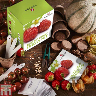Seed Growing Kit - Exotic Fruits