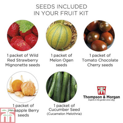 Seed Growing Kit - Exotic Fruits