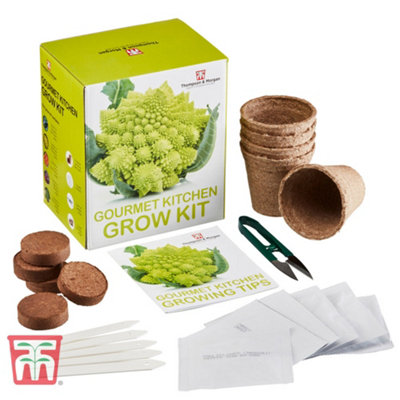 Seed Growing Kit - Gourmet Kitchen Vegetables