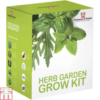 Seed Growing Kit - Herb Garden
