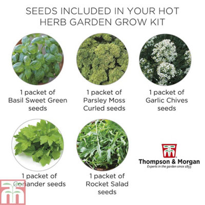 Seed Growing Kit - Herb Garden
