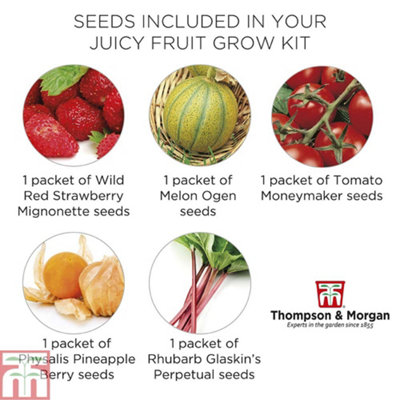 Seed Growing Kit - Juicy Fruits