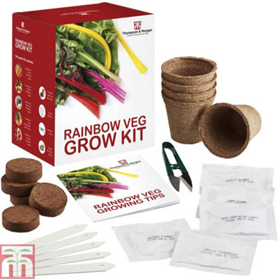 Seed Growing Kit - Rainbow Vegetables