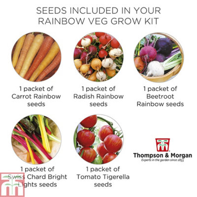 Seed Growing Kit - Rainbow Vegetables