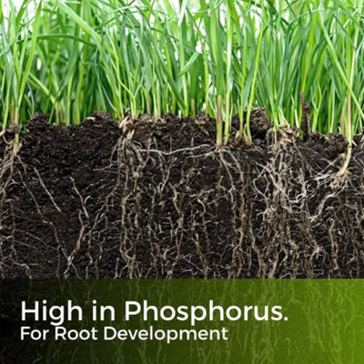 Seed & Turf Lawn Feed - Pre-Seed & Pre Turf Fertiliser 2.5kg (100m2)