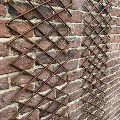 Set of 2 Expanding Willow Garden Trellis (180cm x 30cm)