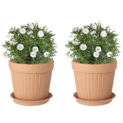 Set of 2 Extra Large Ribbed Flower Pots with Overflow Tray Orange Clay ...
