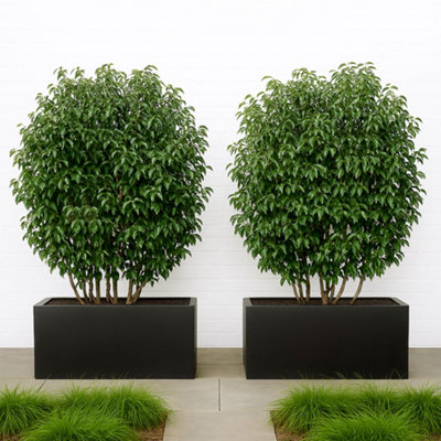 Set of 2 IDEALIST™ 100cm Trough Garden Rectangular Planters, Black ...