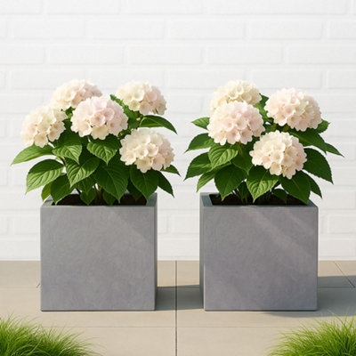 Set of 2 IDEALIST™ 30cm Square Planter, Grey Reinforced Stone Flower ...