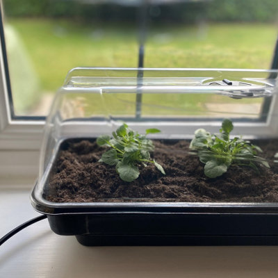 Set of 2 Jumbo Electric Heated Windowsill Plant & Seed Propagators (80cm)