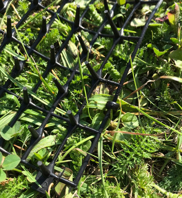 Set of 2 x Plant Prickle Strip Dig Stopper Anti Dog and Cat Protection ...