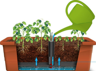 Set of 2x 400mm - Self-watering planters, troughs, Flowerpots for ...