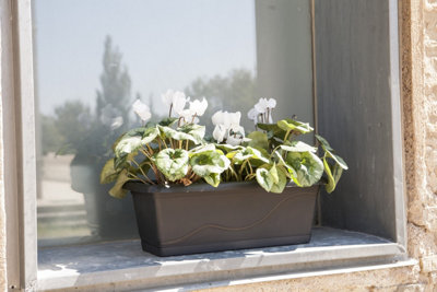 Set of 2x 400mm - Self-watering planters, troughs, Flowerpots for ...