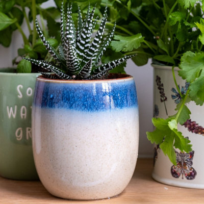 Set of 3 Blue and Cream Reactive Glaze Ceramic Planters with Tray
