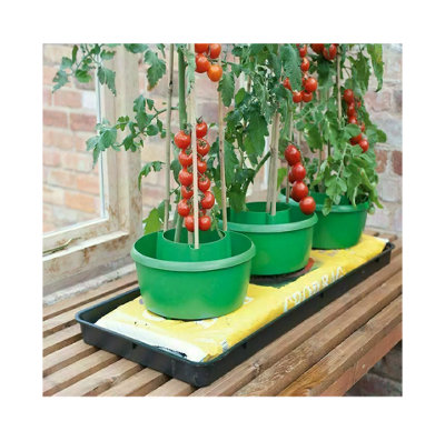 SET OF 3 GARDEN TOMATO PLANT HALO TOMATOES GROW PLANTER WATER POT TUB ...