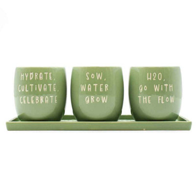 Set of 3 Green Slogan Ceramic Planters with Tray