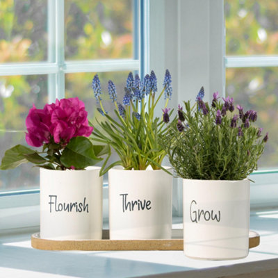 Set of 3 Windowsill Ceramic Indoor Outdoor Summer Garden Planter Pot ...