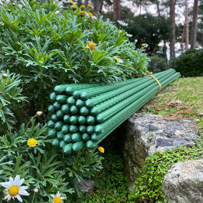 Set of 40 Plastic Coated Metal Plant Support Sticks (120cm)