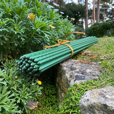 Set of 40 Plastic Coated Metal Plant Support Sticks Stakes (80cm)