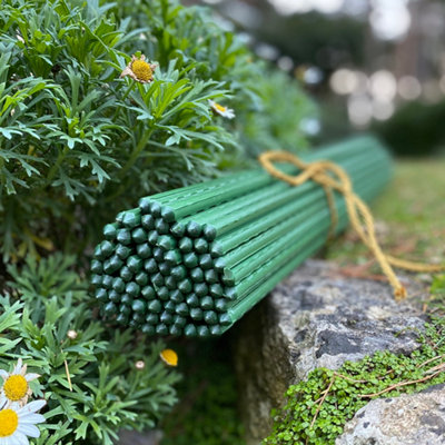 Set of 80 Plastic Coated Metal Plant Support Sticks (60cm) | DIY at B&Q
