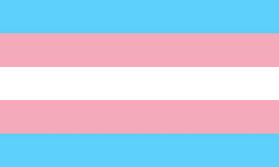 SHATCHI 5ft x 3ft Transgender Flag Lesbian Love Gender Diversity Trans ...