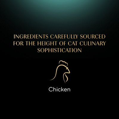 Sheba Fillets Cat Food Tray With Chicken In Gravy 60g (Pack of 30)