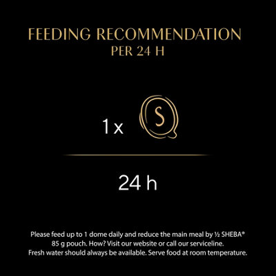 Sheba Fillets Tray Chicken Shrimp & Ocean Fish Gravy 60g x 32 (Pack of 32)