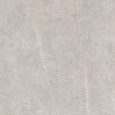 Sheldon Stone Effect Matt Grey Porcelain Tile / 60 x 60cm