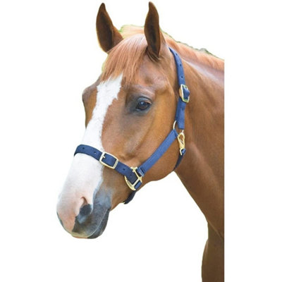 Shires Adjustable Horse Headcollar Navy (Pony) | DIY at B&Q
